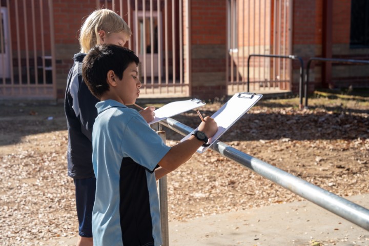 Lesson 1 • Using senses to observe | Primary Connections